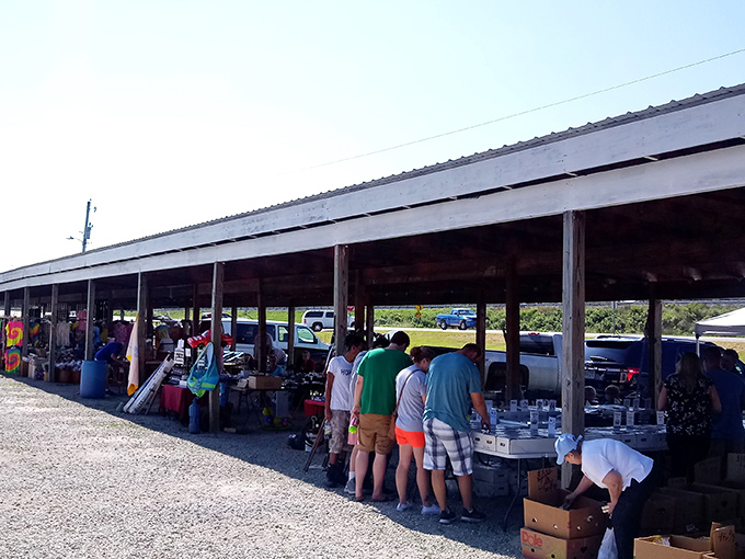 The treasure hunt begins! Rows of covered vendor stalls stretch into the distance at Great American Flea Market, where one person's castoffs become another's discoveries.