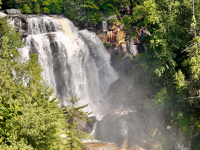 Nature's masterpiece on full display—Whitewater Falls cascades 811 feet through lush Appalachian forest, creating a scene worthy of the most ambitious landscape painting.
