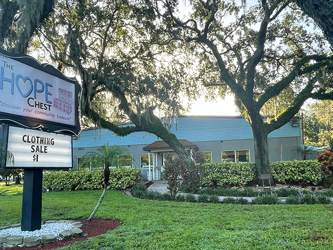 The HOPE Chest welcomes bargain hunters under Florida's majestic oak trees, where the blue building promises treasures within like a retail oasis.