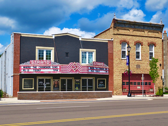 Downtown Paw Paw greets you with that perfect small-town charm – complete with a purple bike lane that says "we're quirky and proud of it."