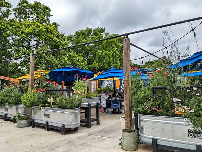 Garden-to-table isn't just a buzzword here—it's literally what happens when herbs and vegetables from these planters make the short journey to your breakfast plate.