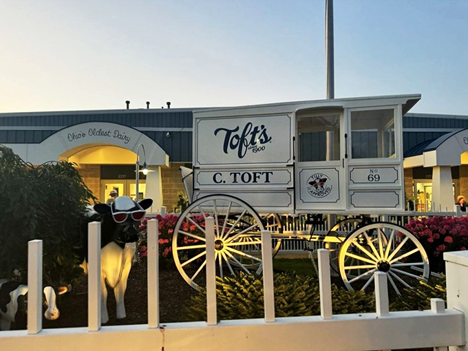 Ohio's Oldest Dairy isn't just a slogan—it's a promise kept since 1900. The iconic blue and white exterior stands like a temple to frozen delights.