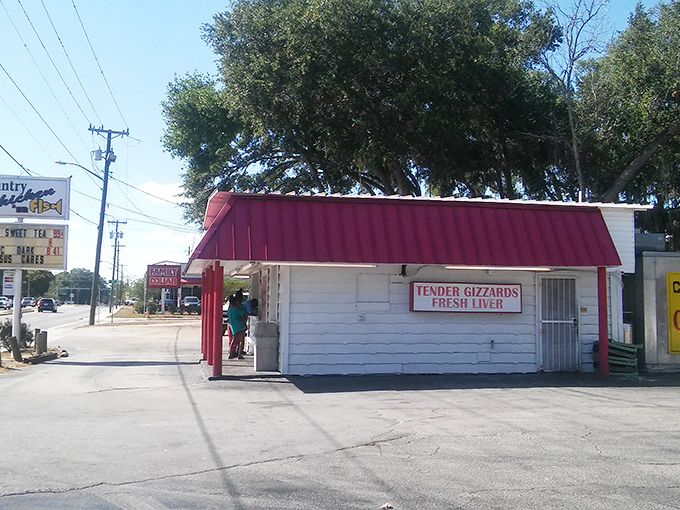 The iconic red-roofed shack draws a steady line of locals who know that culinary treasures often hide in the most unassuming packages.
