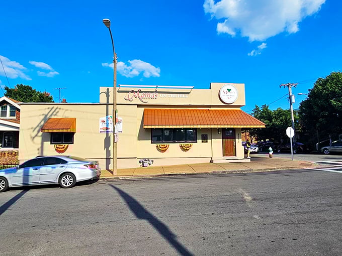 The iconic corner building with its distinctive copper awning stands as a beacon of Italian comfort in St. Louis' historic Hill neighborhood.
