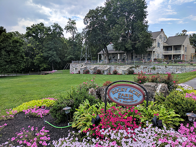 The stone farmhouse at Rocky Acre Farm stands like a time capsule against the Pennsylvania sky, where modern stress dissolves into country charm.