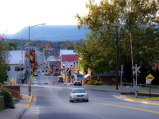 Downtown Luray greets visitors with small-town charm and big mountain views. Those Blue Ridge silhouettes in the background aren't CGI—they're your everyday spectacular reality here.