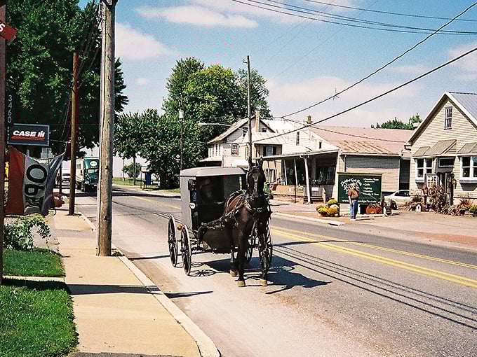 Where horse-drawn buggies and modern vehicles share the road in perfect harmony. A typical scene in Intercourse, where time moves at its own gentle pace.