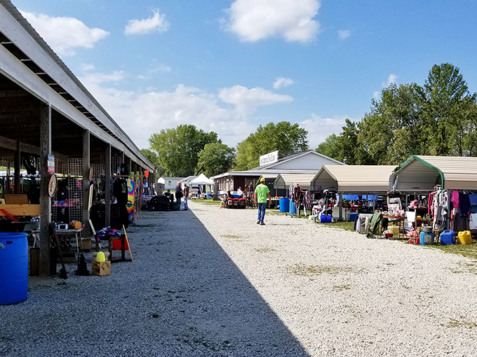 The treasure hunt begins! Rows of covered vendor stalls stretch into the distance at Great American Flea Market, where one person's castoffs become another's discoveries.