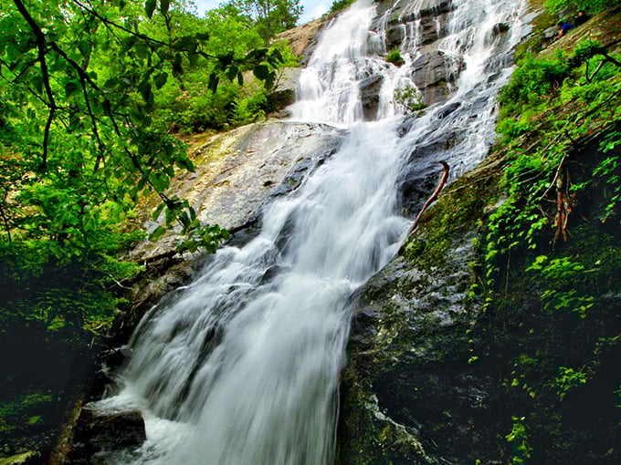 Nature's own water feature—Crabtree Falls cascades down ancient rock faces like liquid crystal, catching sunlight in ways no home fountain could ever dream of matching.