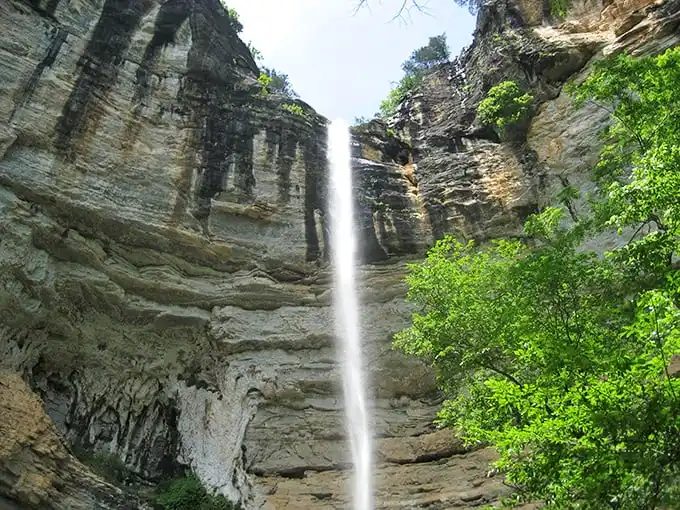 Nature's skyscraper in reverse – Hemmed-In Hollow's 209-foot cascade plummets down layered limestone cliffs, creating a spectacle worth every step of the journey.
