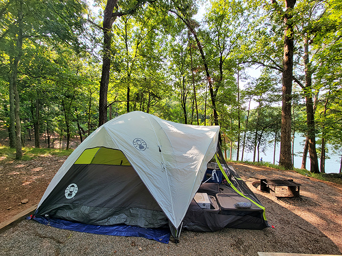 Camping nirvana: Lakeside sites where the morning sun filters through Georgia pines and that first cup of coffee tastes suspiciously like happiness.
