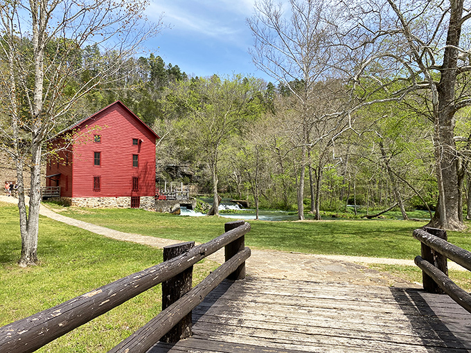 Spacious campsites nestled among graceful trees – nature's version of five-star accommodations without the mint on your pillow or the bill.