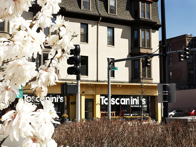 Like finding a treasure at the end of a bike-filled rainbow, Toscanini's yellow storefront beckons Cambridge dessert pilgrims to First Street's sweetest destination.
