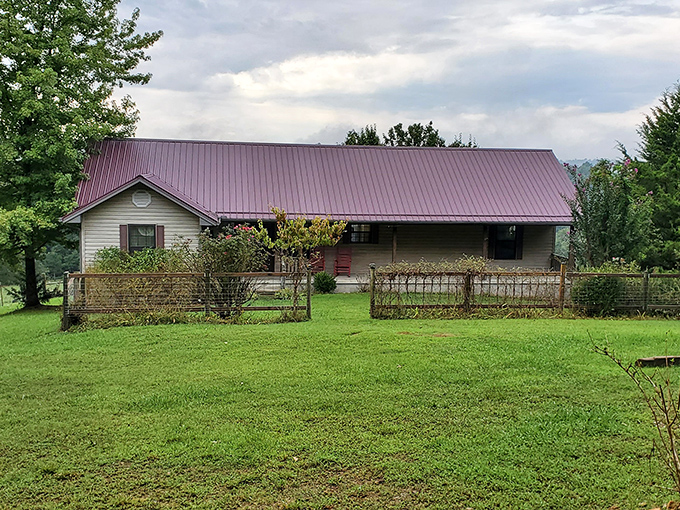 Morning sunlight kisses the farmhouse's metal roof as if Mother Nature herself is saying "Welcome home!" The perfect Ozark Mountain backdrop for your rural escape.