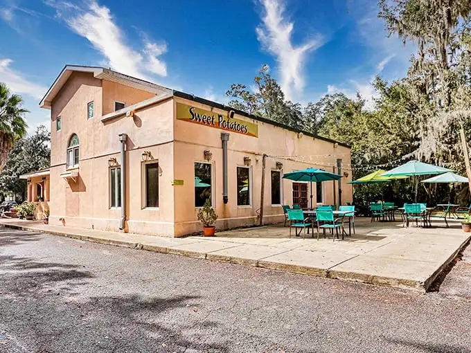 The unassuming stucco exterior belies the culinary magic happening inside. Like a Southern secret waiting to be discovered under those Georgia skies.