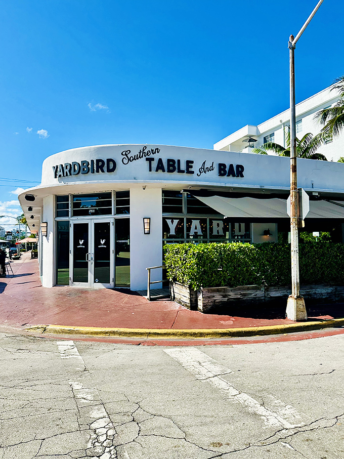 The curved white facade of Yardbird stands like a welcoming Southern belle amid Miami Beach's art deco landscape. Southern comfort food has never looked so at home in South Florida.