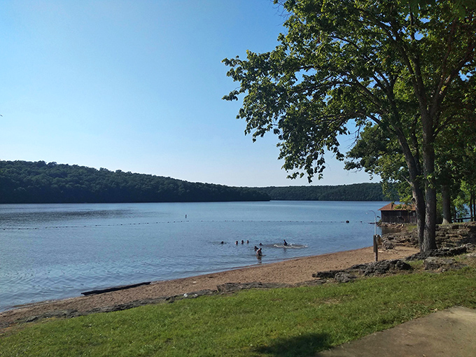 Nature's perfect balance: towering trees frame the sandy shoreline while gentle waves invite visitors to wade into the clear blue waters of this hidden paradise.
