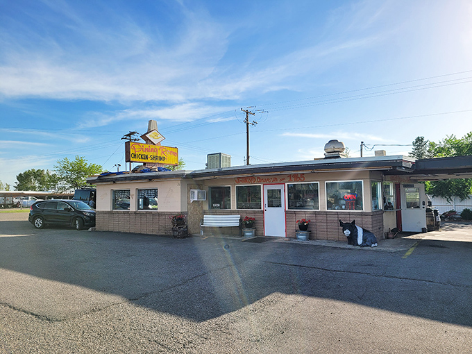 The time-capsule exterior of Frostop Drive In beckons with its vintage signage and welcoming bench—a portal to simpler, more delicious times.