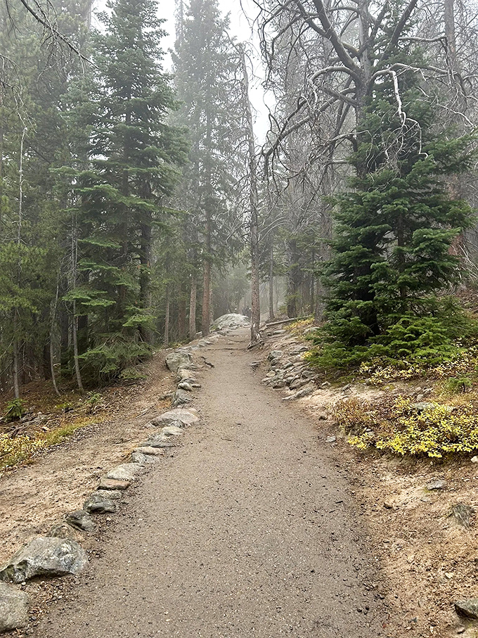 Fall's golden touch transforms this trail into nature's runway. The well-maintained path invites even reluctant hikers to strut their stuff.