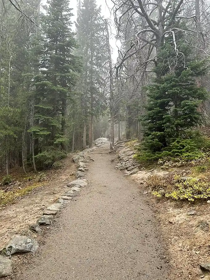 Fall's golden touch transforms this trail into nature's runway. The well-maintained path invites even reluctant hikers to strut their stuff.