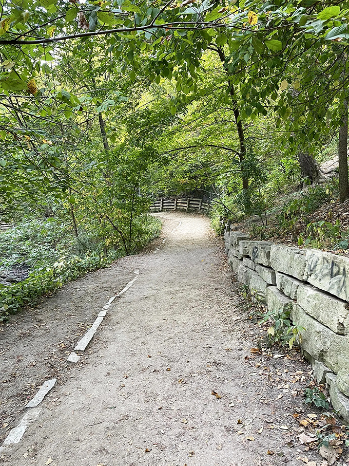 Nature's green cathedral awaits just steps from the city. This shaded pathway feels like stepping into a secret garden movie set.