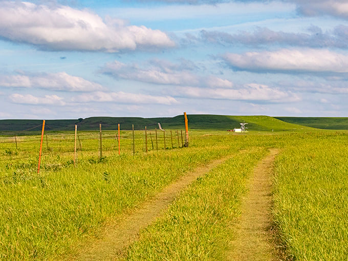 The path less traveled beckons with billowing clouds that look like nature's own cotton candy sculpture. Kansas skies have never been so dramatic.