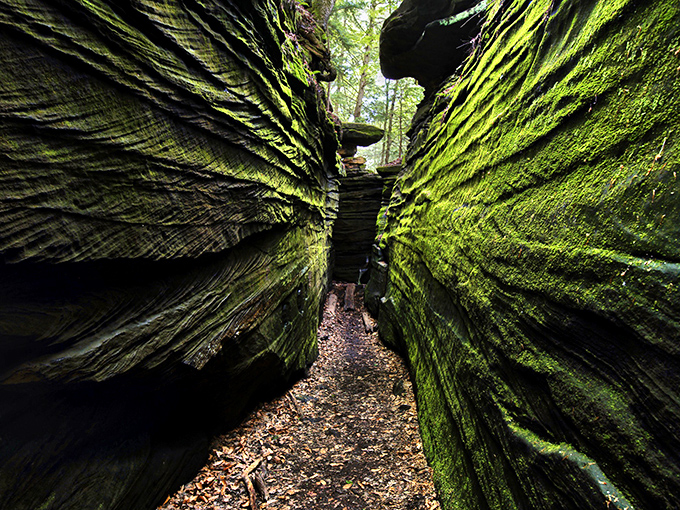 Nature's welcome mat unfurls before you on Ledges Trail, where sunlight plays hide-and-seek through the canopy and adventure beckons around every bend.