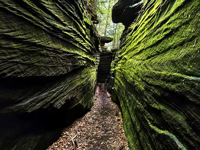 Nature's welcome mat unfurls before you on Ledges Trail, where sunlight plays hide-and-seek through the canopy and adventure beckons around every bend.