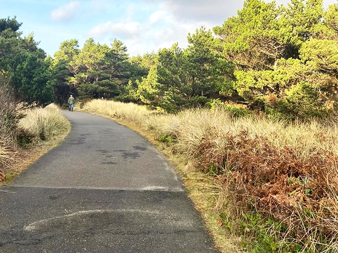 The welcoming sign at South Jetty offers more than directions—it's your first taste of adventure in this slice of Oregon Dunes National Recreation Area paradise.