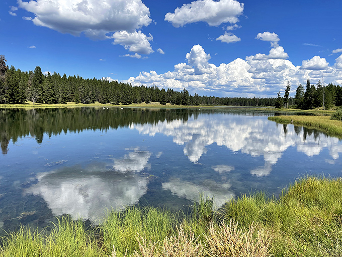 The quintessential Idaho landscape – golden meadows, rustic barns, and endless sky. This is what postcards dream of becoming when they grow up.