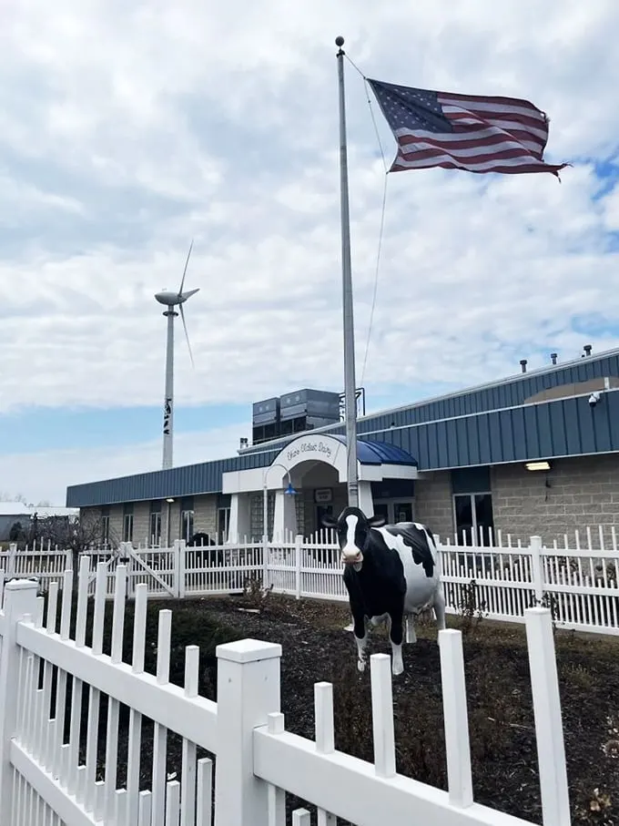 Ohio's Oldest Dairy isn't just a slogan—it's a promise kept since 1900. The iconic blue and white exterior stands like a temple to frozen delights.