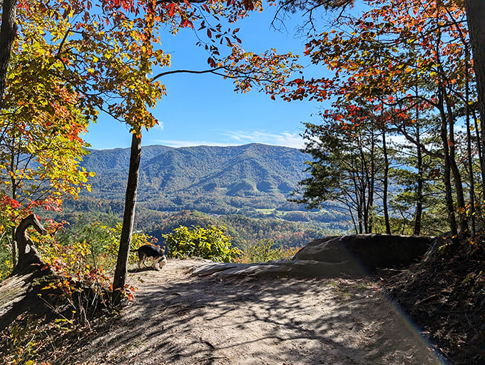 Stone pillars frame nature's masterpiece at Kingdom Come's overlook. The Appalachian Mountains roll away like waves frozen in time, a sight worth every step of the climb.
