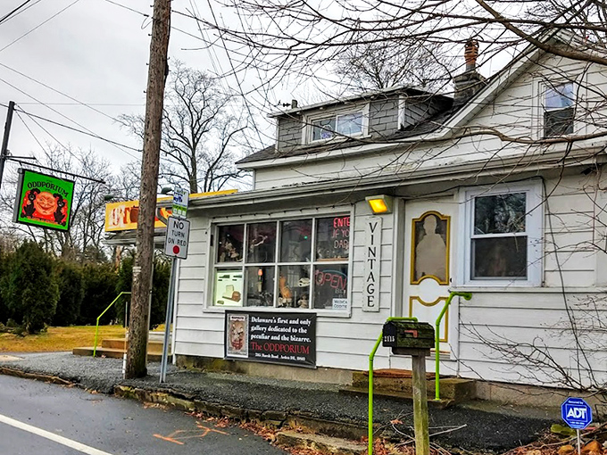 The unassuming exterior belies what waits inside – like finding Narnia in a closet, but with more taxidermy and fewer talking lions. 