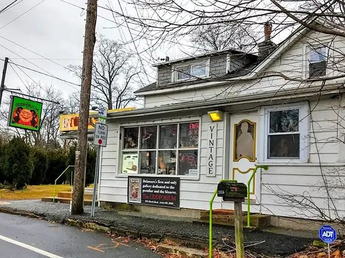 The unassuming exterior belies what waits inside – like finding Narnia in a closet, but with more taxidermy and fewer talking lions.
