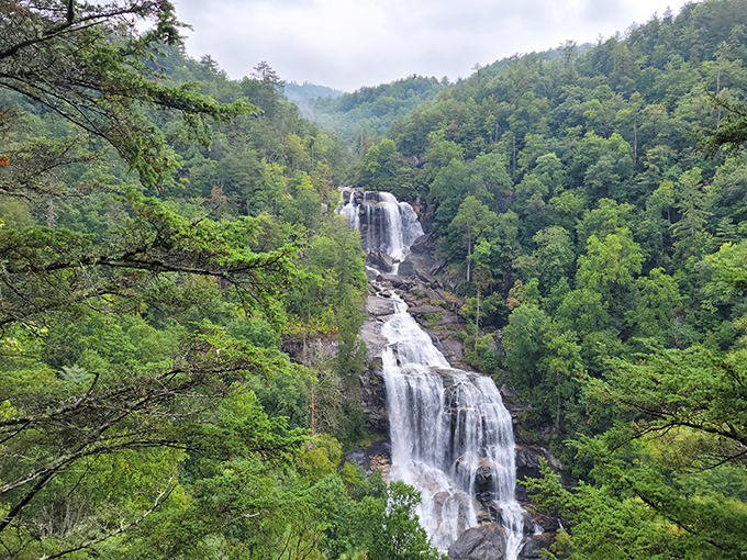 Nature's masterpiece on full display—Whitewater Falls cascades 811 feet through lush Appalachian forest, creating a scene worthy of the most ambitious landscape painting.