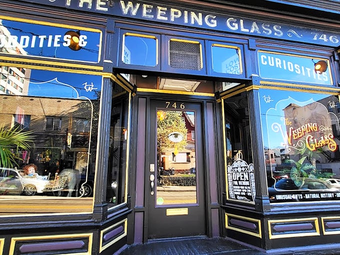 The striking blue Victorian façade of The Weeping Glass beckons curious passersby with gold lettering that promises "ODDITIES" and "CURIOSITIES" – an invitation few can resist.