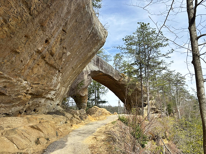 Nature's perfect archway beckons hikers forward, promising adventure just steps away. The sandstone marvel frames the Kentucky sky like a geological masterpiece.