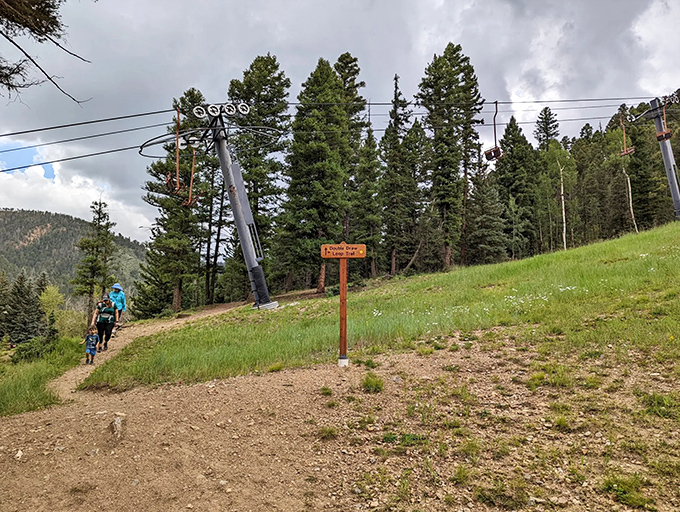 The trail beckons with its gentle curves and verdant embrace, promising adventure without demanding Olympic-level stamina.