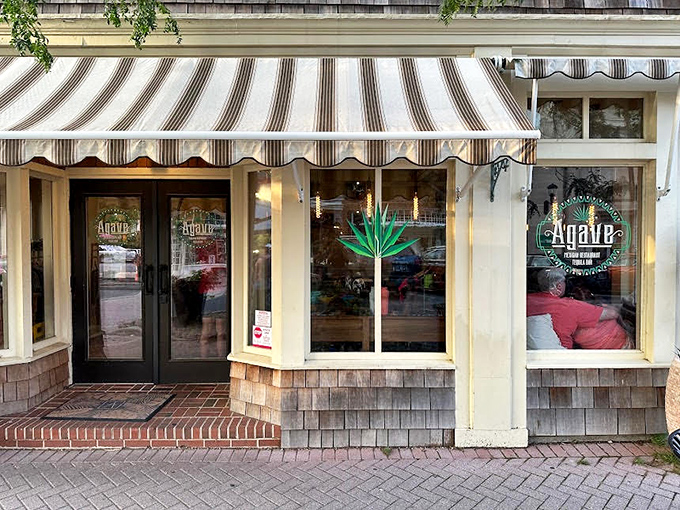 Agave's charming exterior blends seamlessly into Lewes' historic streetscape, those striped awnings practically whispering "come in, the tacos are waiting."