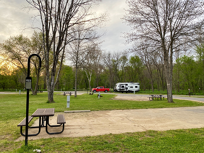 Spacious campsites nestled among graceful trees – nature's version of five-star accommodations without the mint on your pillow or the bill.