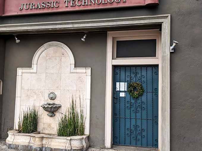 The unassuming facade belies what lies within—a blue door that might as well be a portal to another dimension of curiosity and wonder.