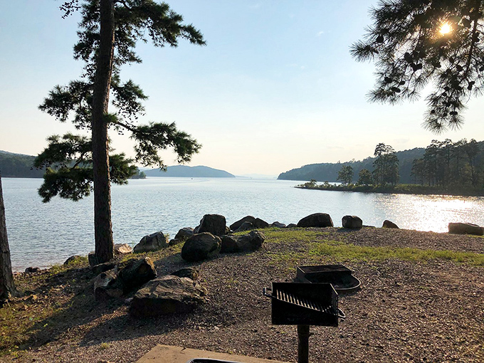 Nature's perfect frame job! Tall pines create a living portal to Lake Ouachita's crystal waters, where time slows and worries dissolve faster than aspirin.