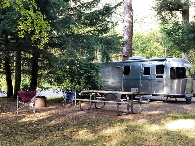 Camping nirvana achieved! A perfectly situated truck camper nestled among towering pines, with camp chairs awaiting stories around the fire ring.