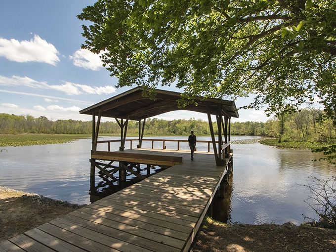 Mirror, mirror on the water: Martinak State Park's tranquil lake reflects the sky like nature's own Instagram filter. A serene escape that'll make you forget your phone exists.