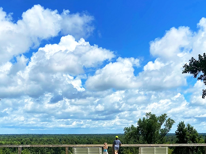 The view that makes you question your GPS. Torreya's sweeping panorama of the Apalachicola River valley feels more like Appalachia than Florida.