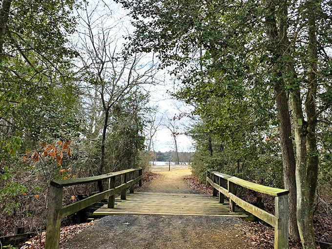 Wooden footbridge beckons visitors toward Parvin Lake's shimmering waters—nature's invitation to explore this hidden New Jersey treasure.
