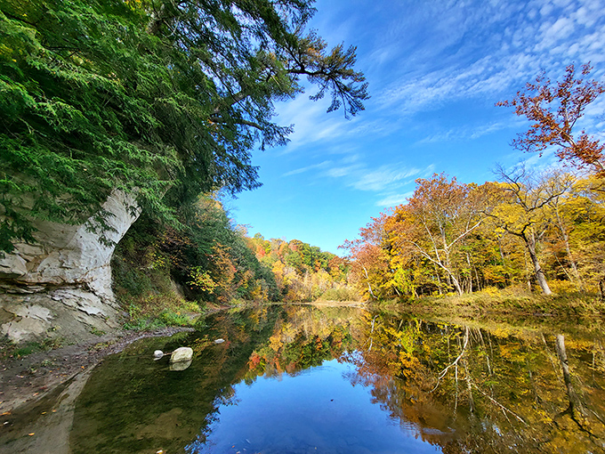 Fall's golden palette mirrors perfectly in Sugar Creek's still waters, where sandstone cliffs meet Indiana's hidden autumn masterpiece.