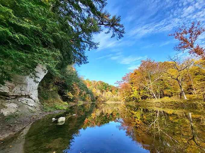 Fall's golden palette mirrors perfectly in Sugar Creek's still waters, where sandstone cliffs meet Indiana's hidden autumn masterpiece.