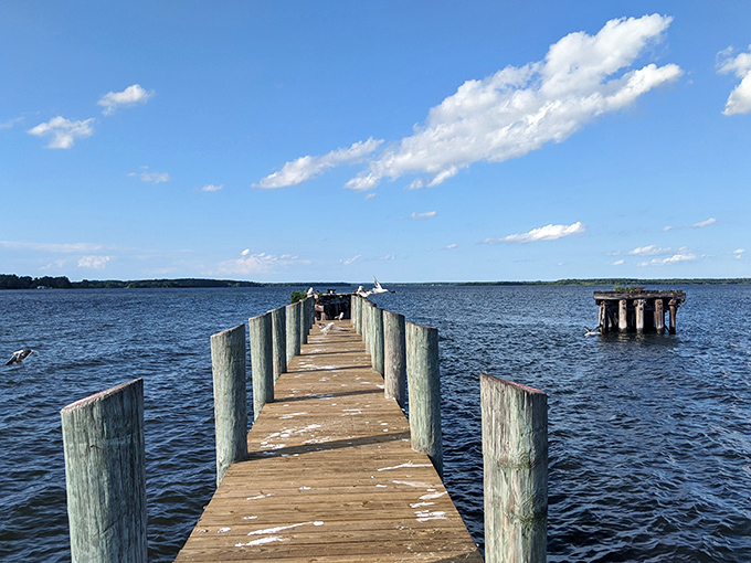 The wooden pier stretches toward St. Clement's Island like a time-travel portal, inviting you to step back to where Maryland's story began.