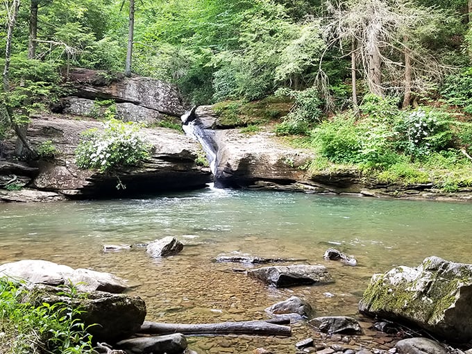 Nature's perfect staircase – this waterfall at Holly River State Park cascades down rock formations like it's auditioning for a role in National Geographic.